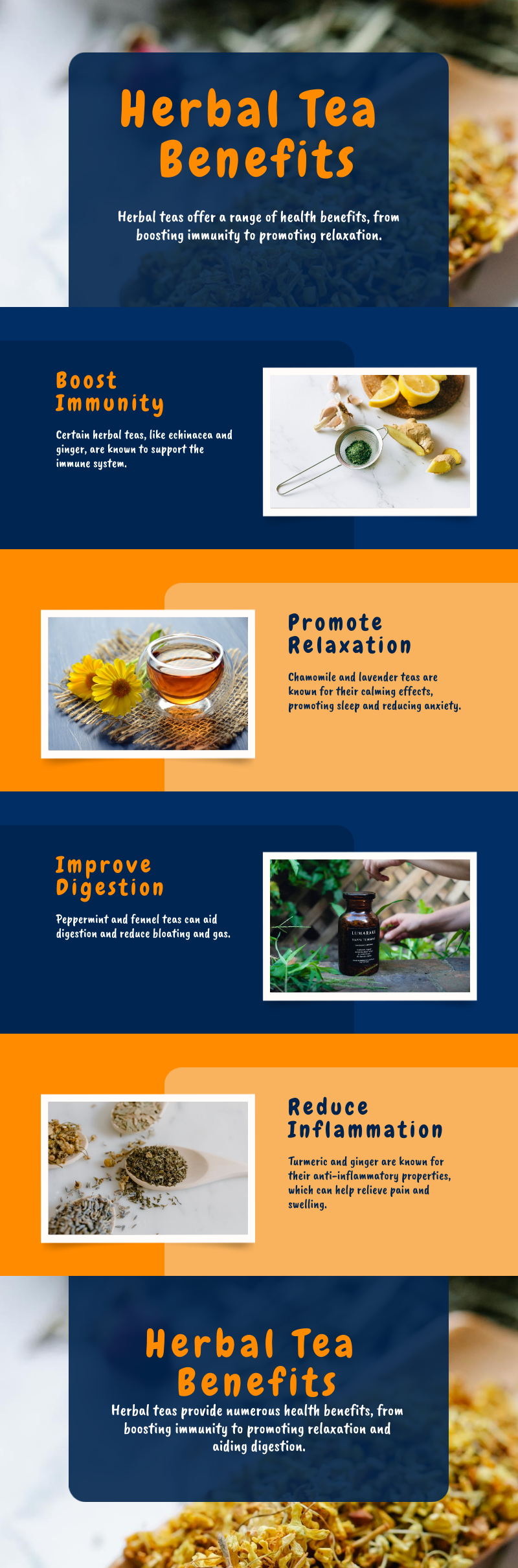 Moronel Tea Benefits - 10 Health Benefits You Should Know